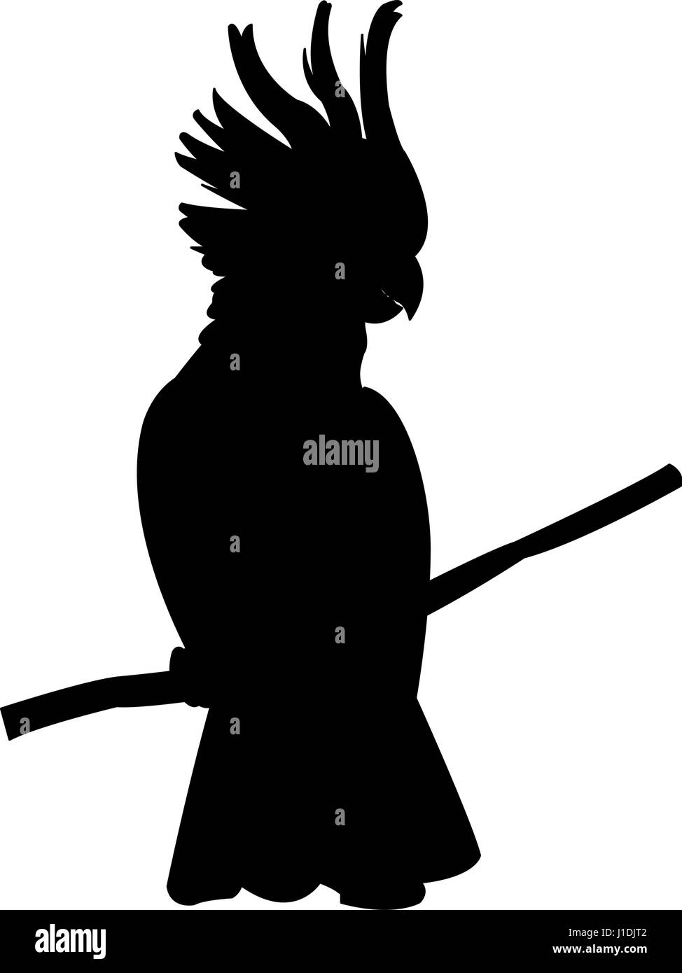 tropical bird icon image Stock Vector Image & Art - Alamy