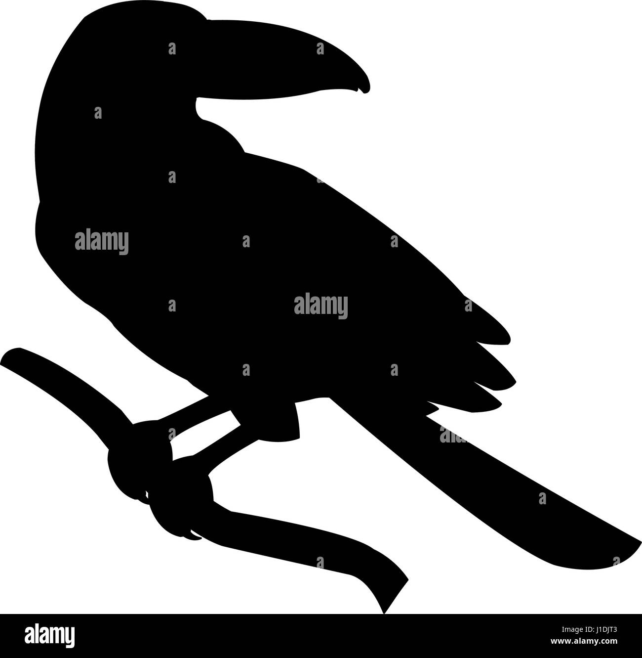 tropical bird icon image Stock Vector Image & Art - Alamy