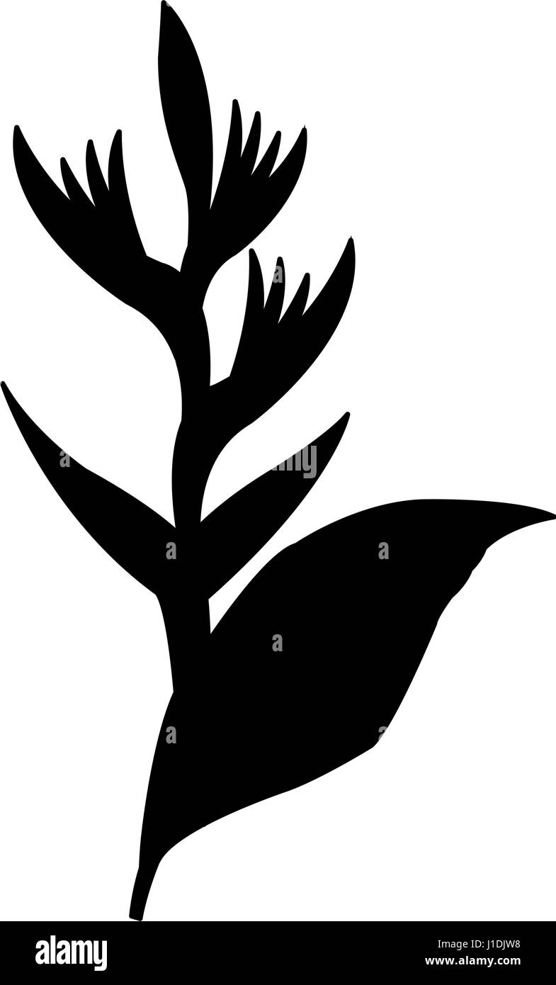 single leaf icon image Stock Vector Image & Art - Alamy