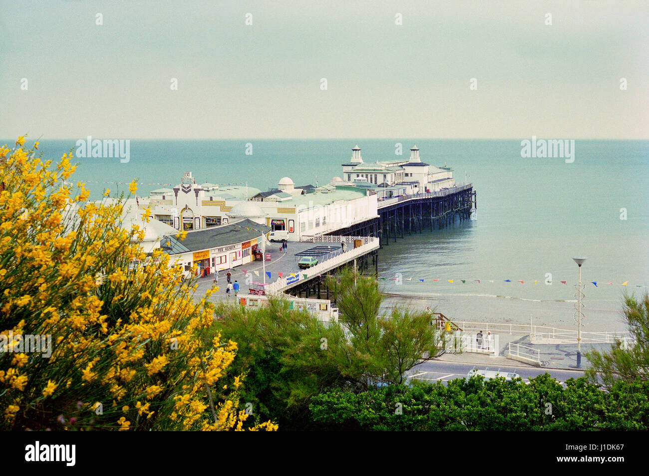 The original Hastings Pier in 1983, from White Rock Gardens, Hastings ...