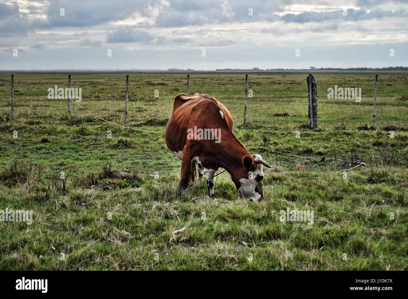 Valizas, Rocha, Uruguay Stock Photo - Alamy