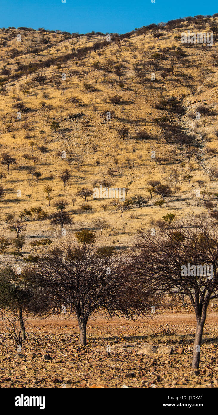 Kaokoland landscape, Namibia Stock Photo - Alamy