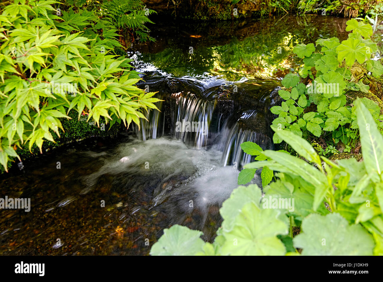 On a bright summers day in an English meadow small, shallow, stream ...