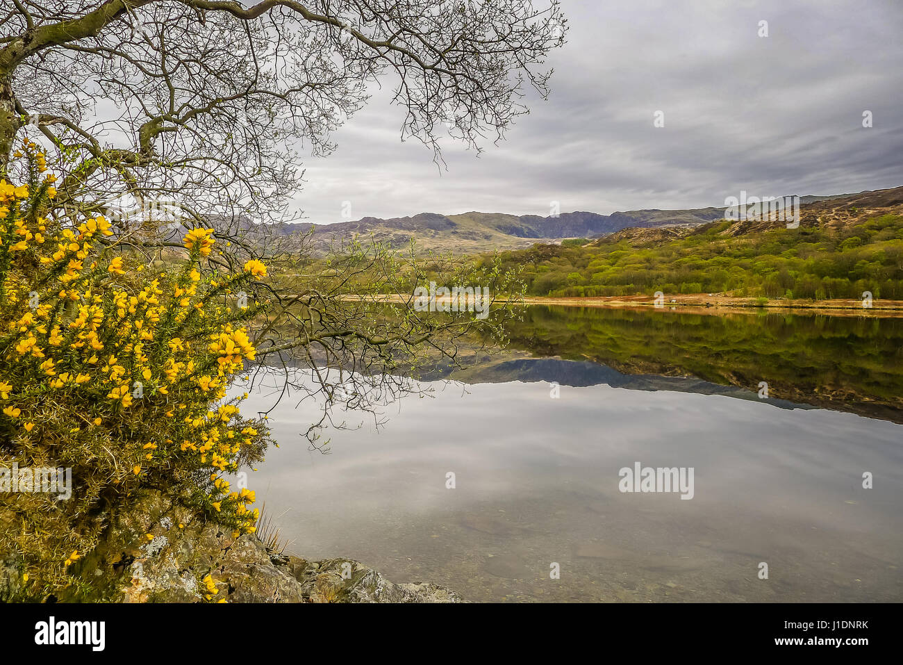 Llyn Cwellyn High Resolution Stock Photography and Images - Alamy