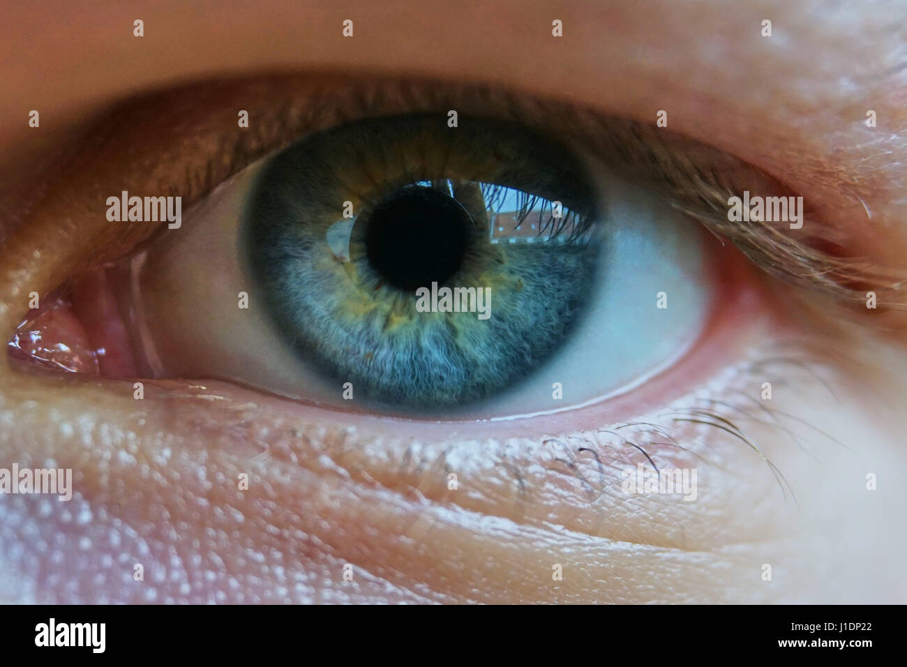 Eye reflection building hi-res stock photography and images - Alamy