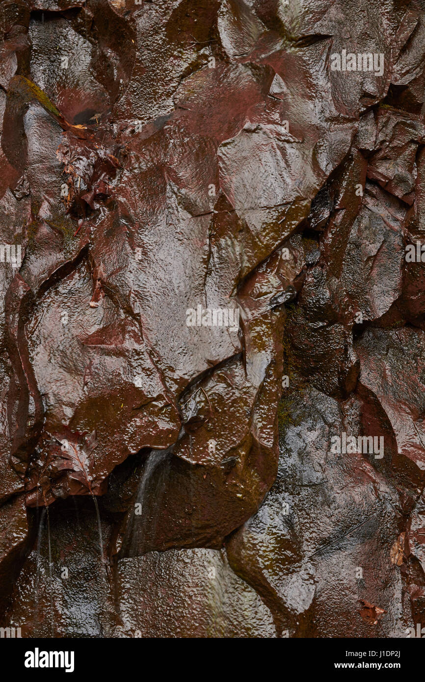 blasted rock wall, Lehigh Gorge State Park, Rockport, Carbon County ...