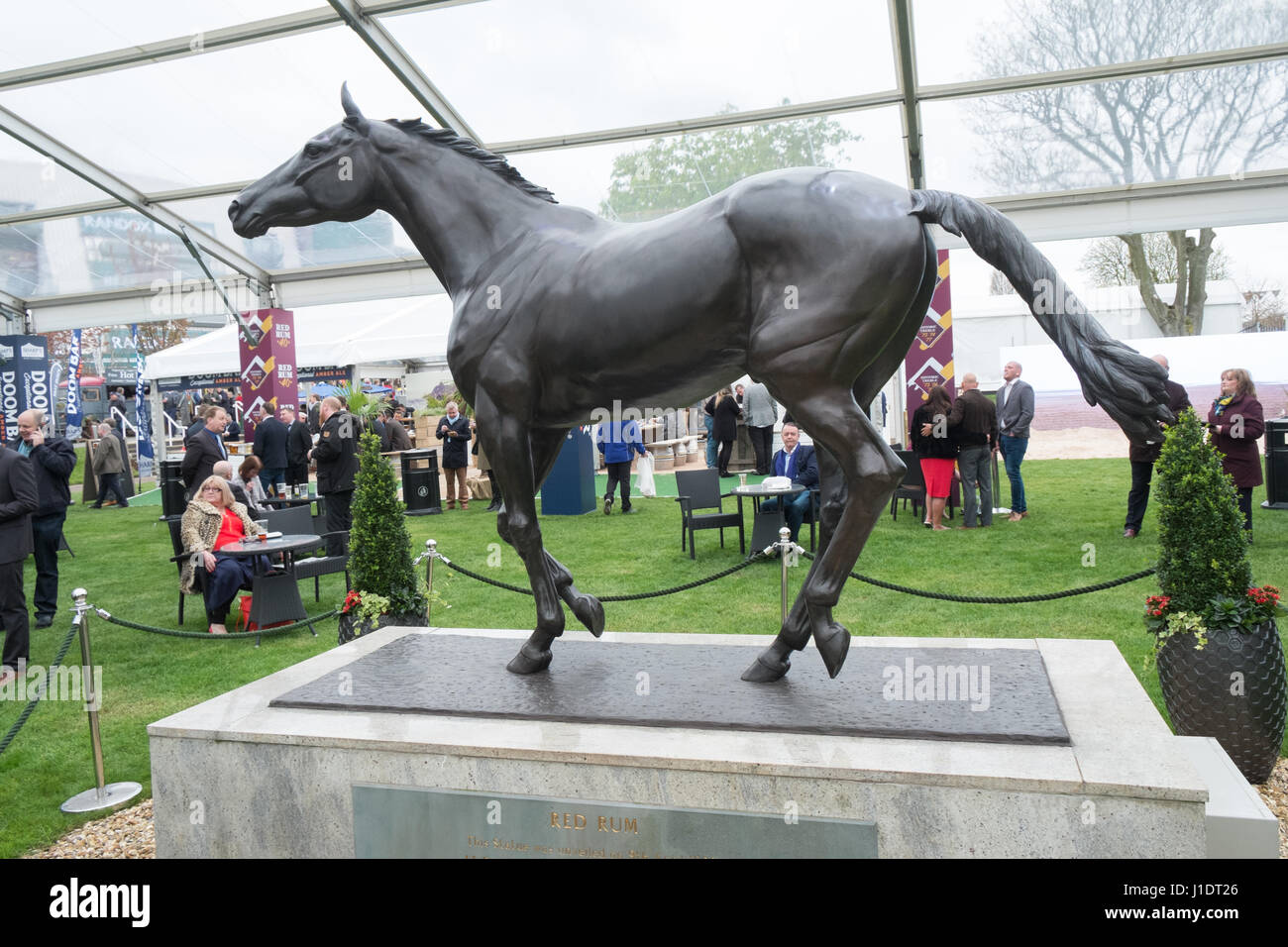 Red rum racehorse hi-res stock photography and images - Alamy