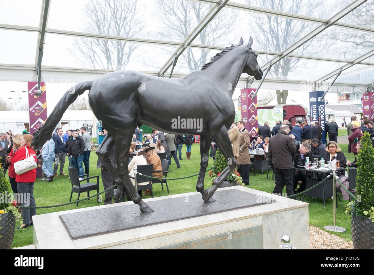 Red rum racehorse hi-res stock photography and images - Alamy