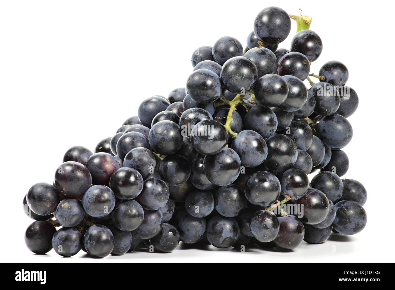 grapes (variety Muscat Bleu) isolated on white background Stock Photo ...