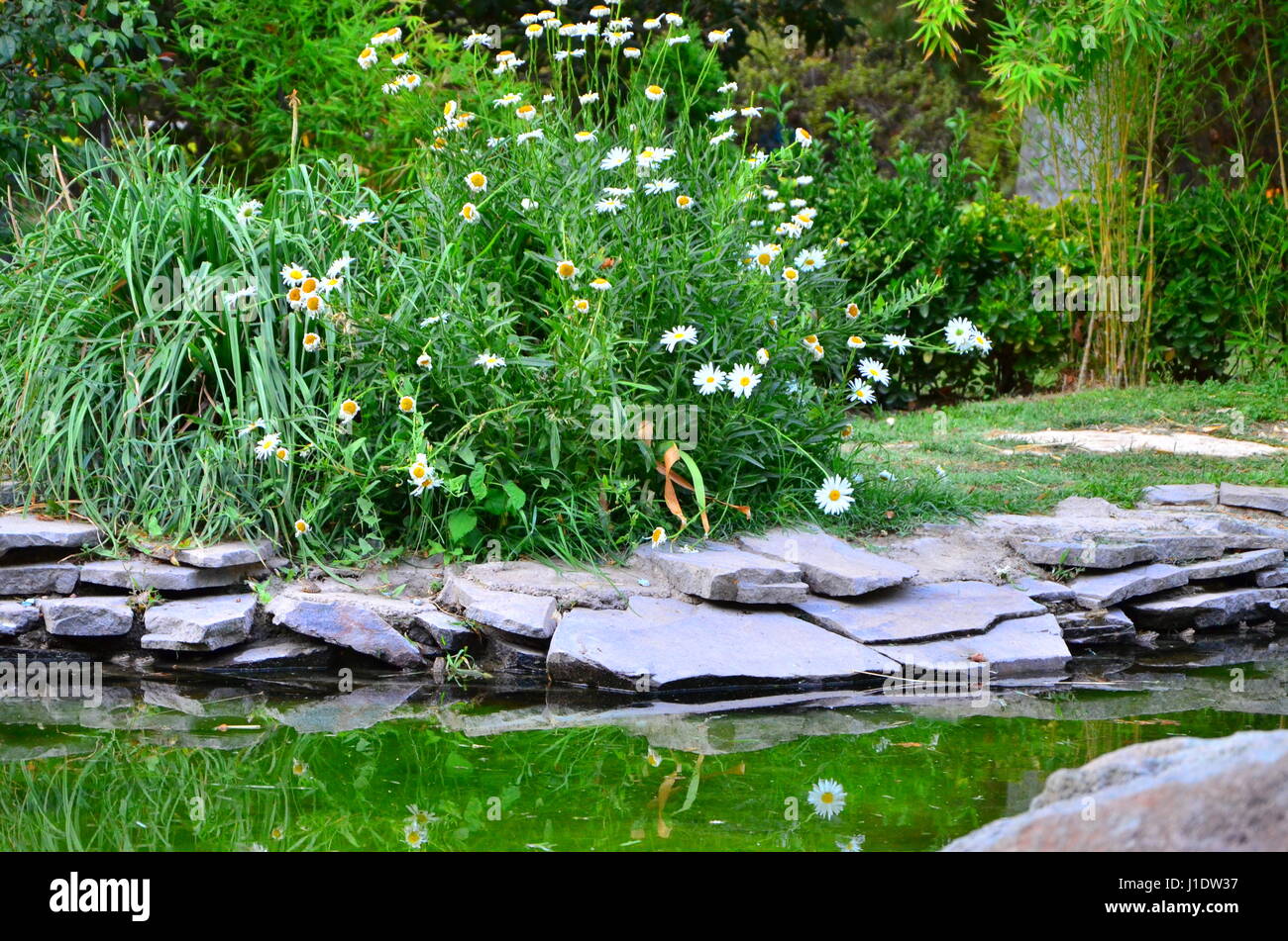 Hobbies gardening hi-res stock photography and images - Alamy