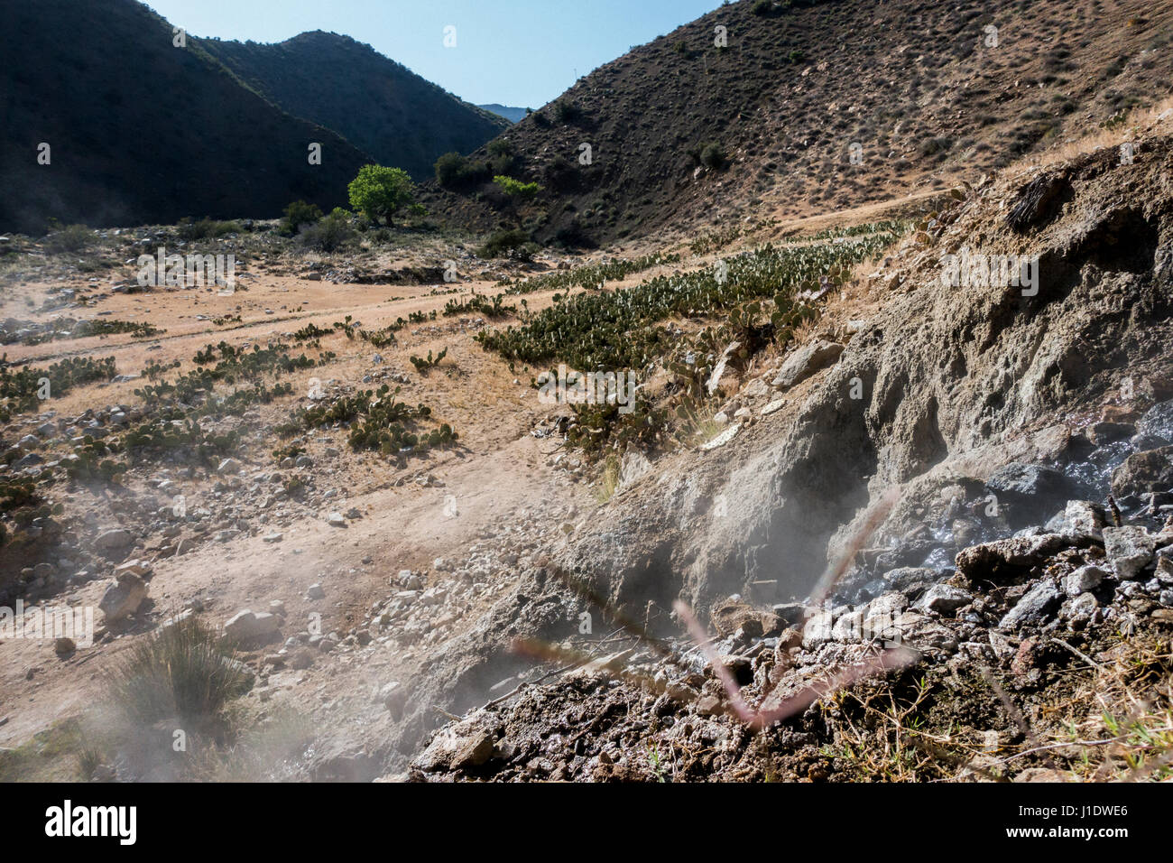 The source of the Sespe Hot Springs rising out of the side of a ...