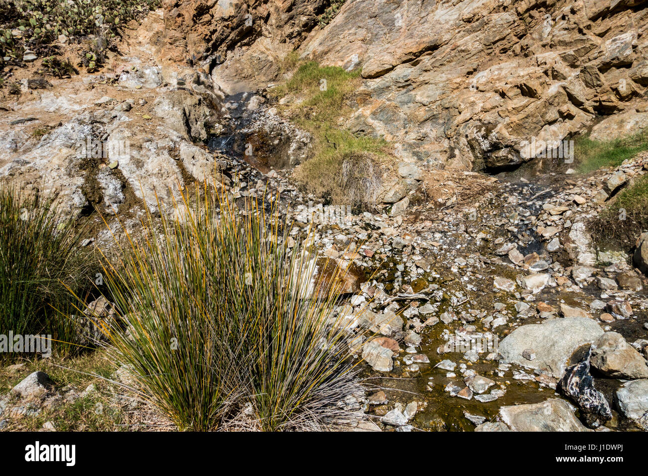 The source of the Sespe Hot Springs rising out of the side of a ...