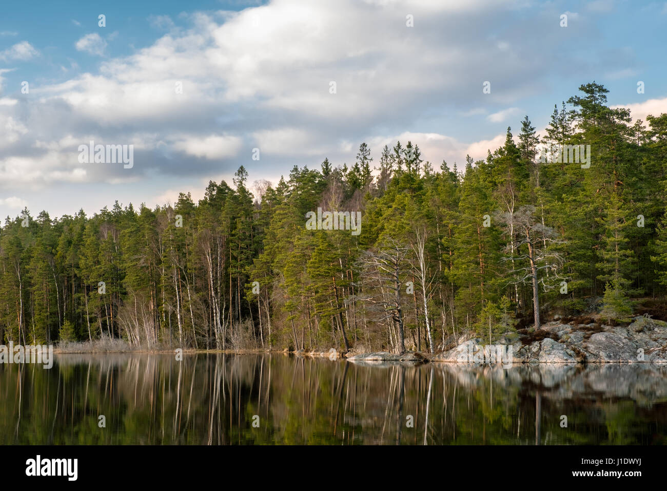 Stockholm tyresta nationalpark hi-res stock photography and images - Alamy