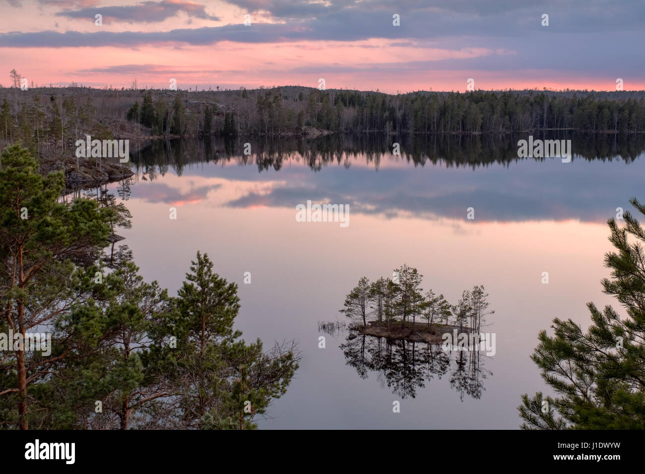 Stockholm tyresta nationalpark hi-res stock photography and images - Alamy