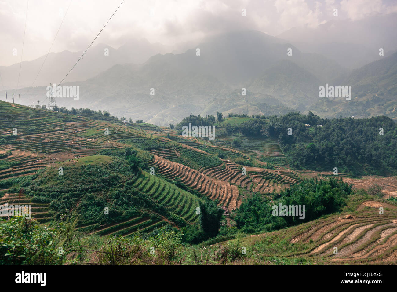 The mountain rice terraces of Sa Pa (Sapa) in northern Vietnam ...