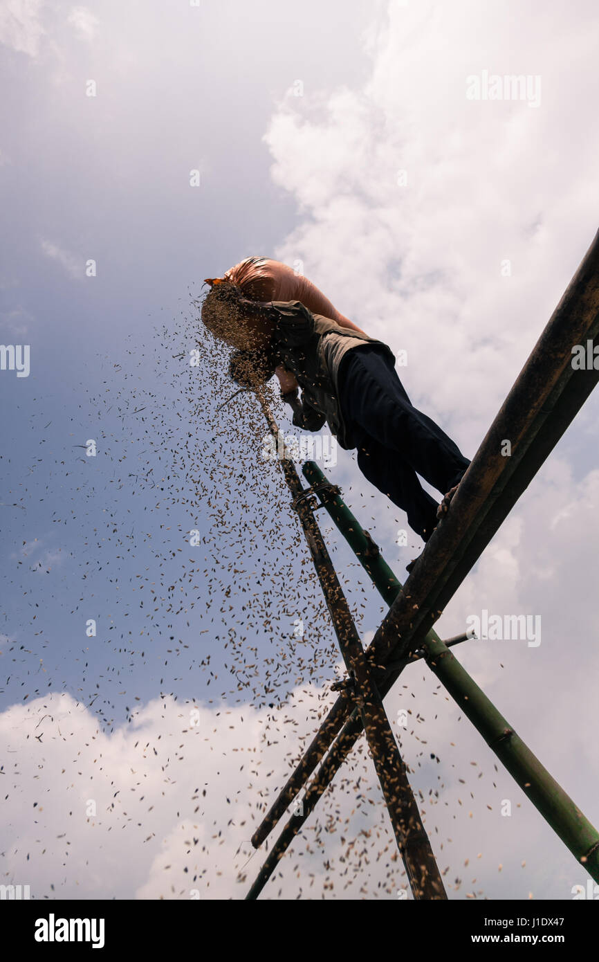 Traditional farming methods hi-res stock photography and images - Alamy
