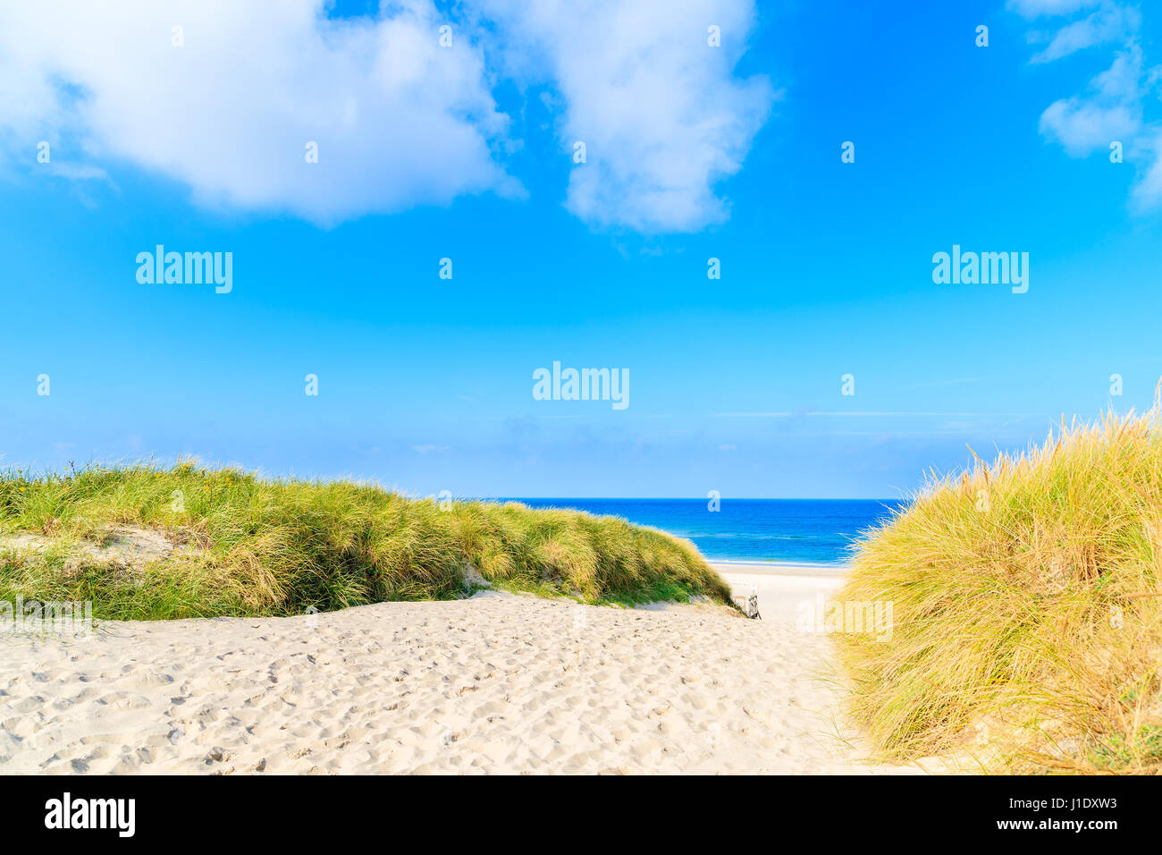Path in sand hi-res stock photography and images - Alamy