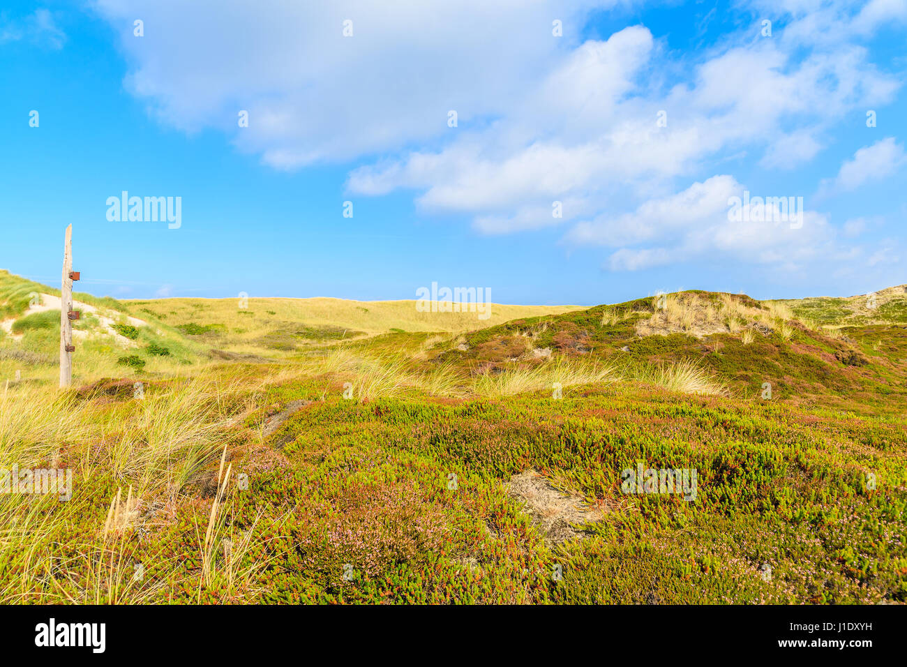 Heather sand hi-res stock photography and images - Alamy