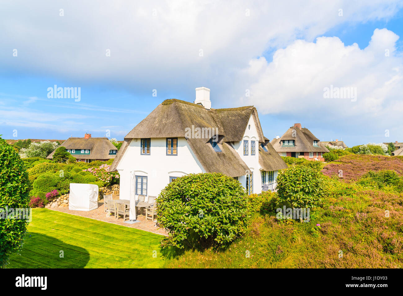 Typical Frisian houses with thatched roof on Sylt island in Westerheide ...