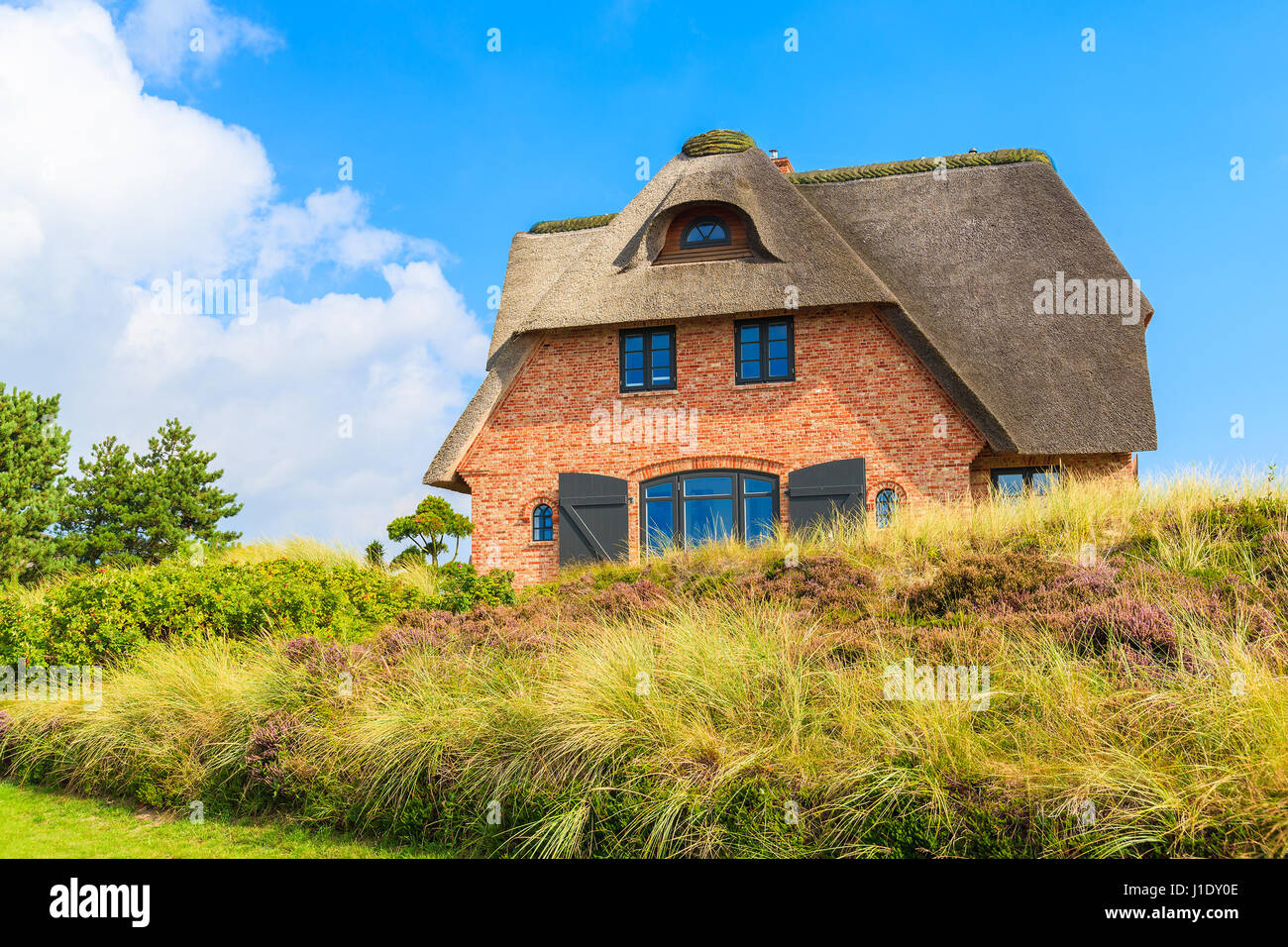 Typical Frisian house with thatched roof on Sylt island in Westerheide ...