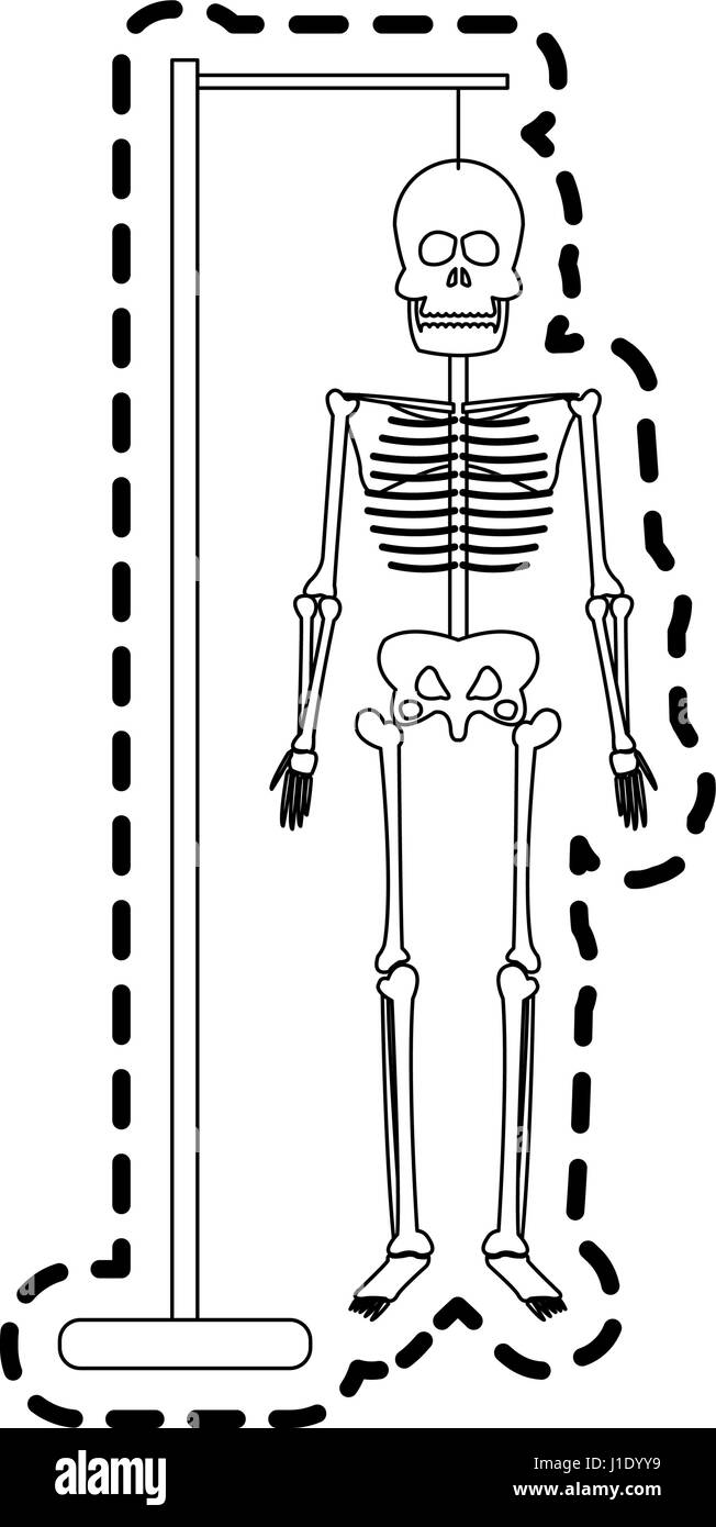 human skeleton icon image Stock Vector Image & Art - Alamy