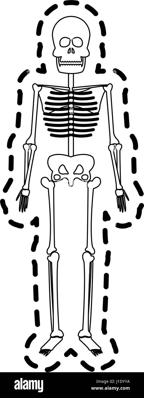human skeleton icon image Stock Vector Image & Art - Alamy