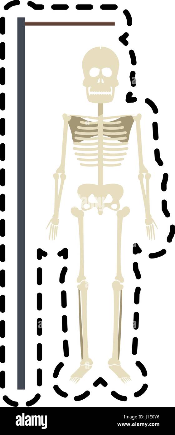 human skeleton icon image Stock Vector Image & Art - Alamy