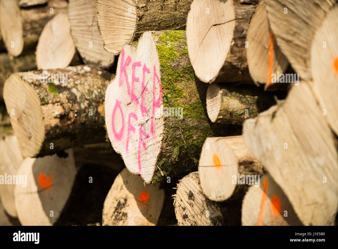 Keep the forest hi-res stock photography and images - Alamy