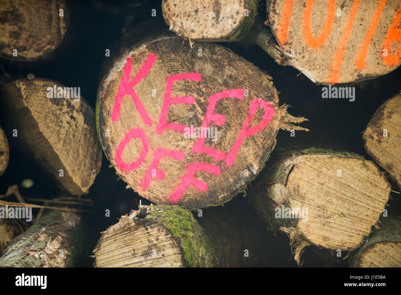 Hooke Park, Dorset, UK. 20th Apr, 2017. Keep off spray painted onto log ...