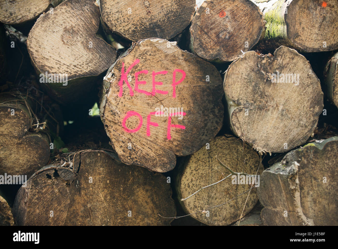 Hooke Park, Dorset, UK. 20th Apr, 2017. Keep off spray painted onto log ...