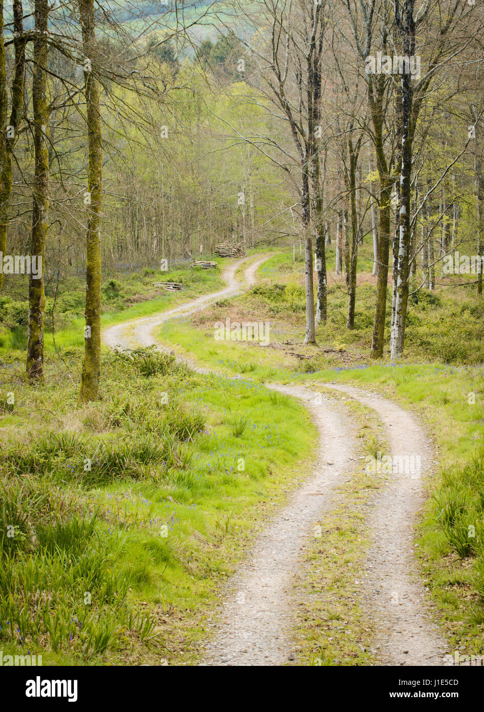 Winding snakes hi-res stock photography and images - Alamy