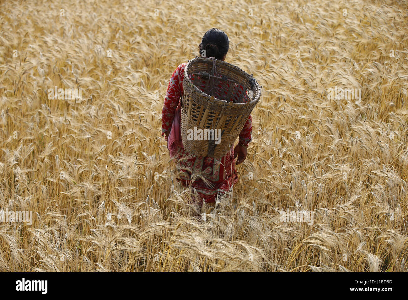 Doko basket hi-res stock photography and images - Alamy