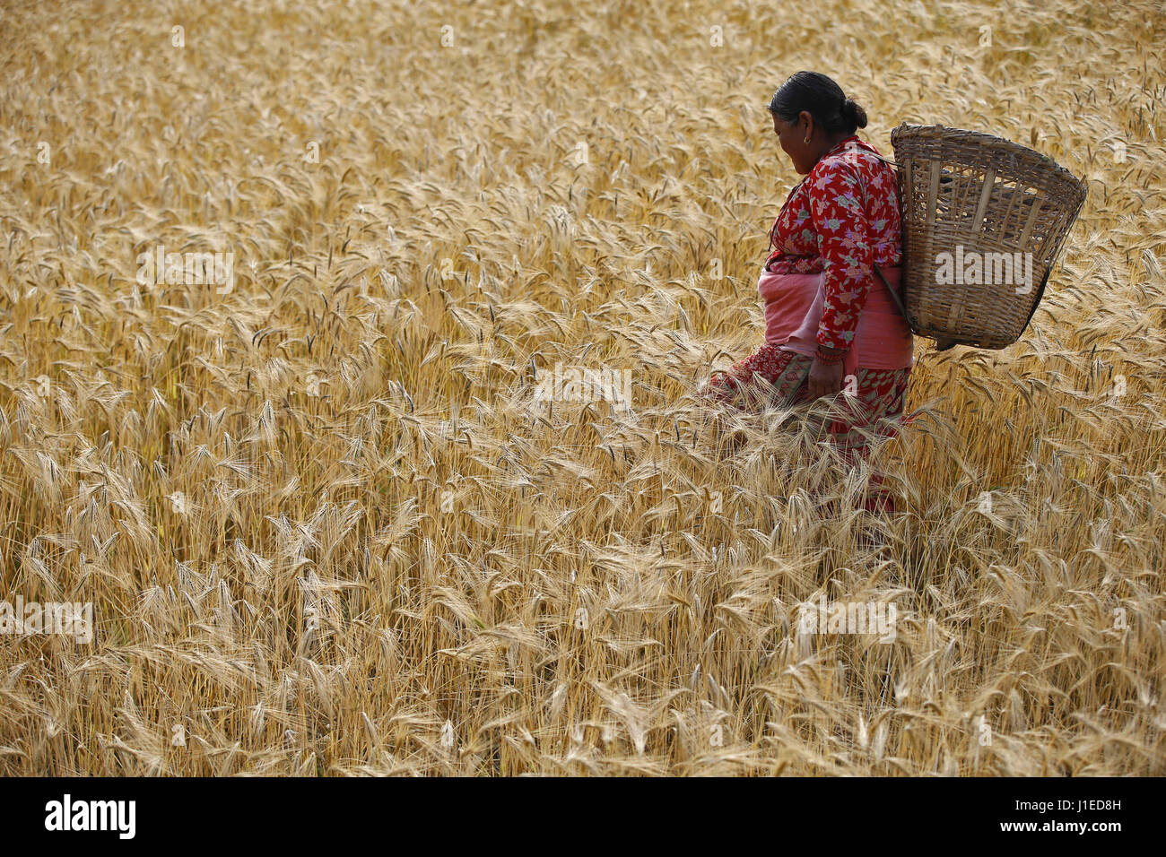 Doko basket hi-res stock photography and images - Alamy