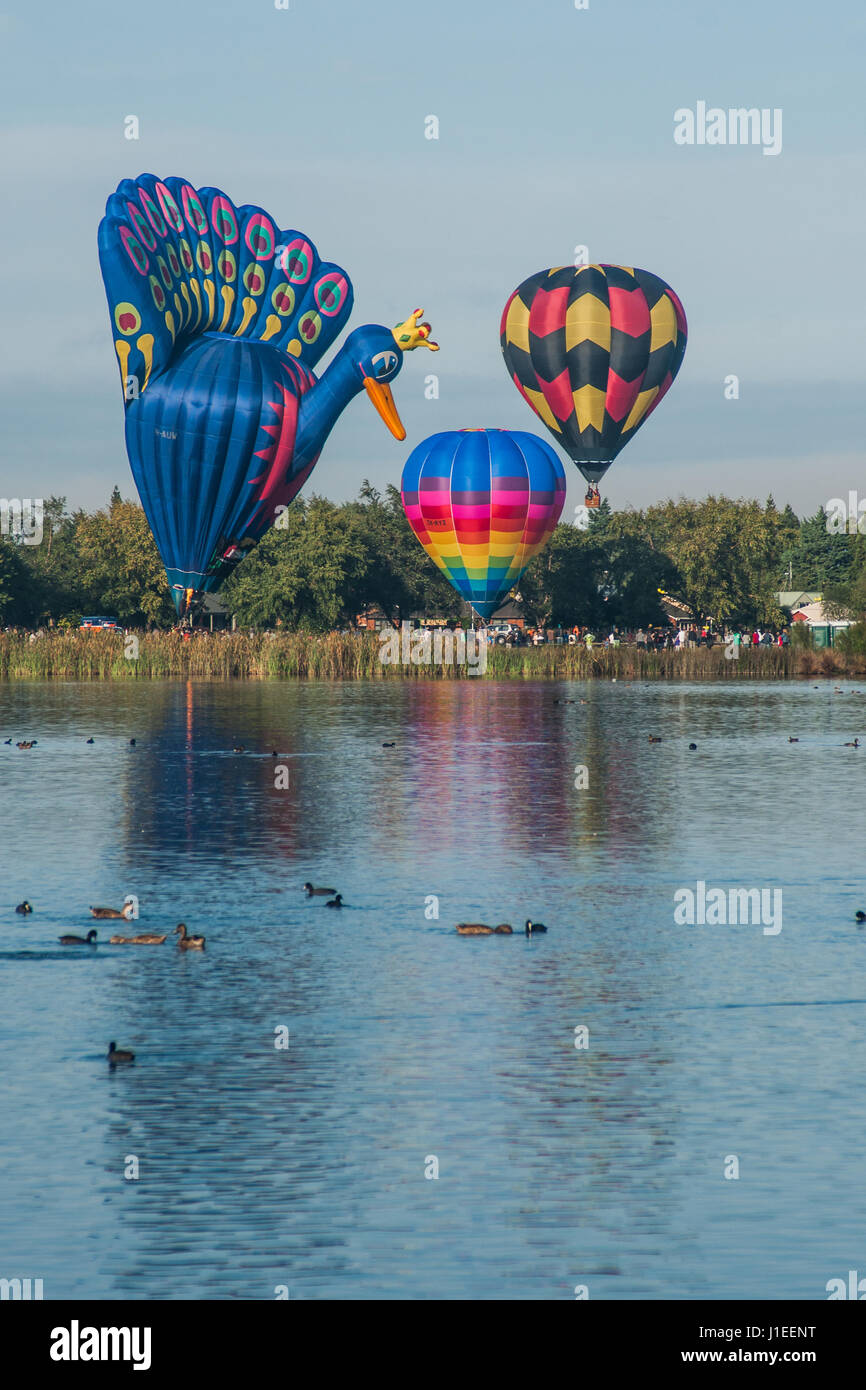 HAMILTON, NZ - MARCH 28, 2010: Hot Air Balloons flying above Lake ...
