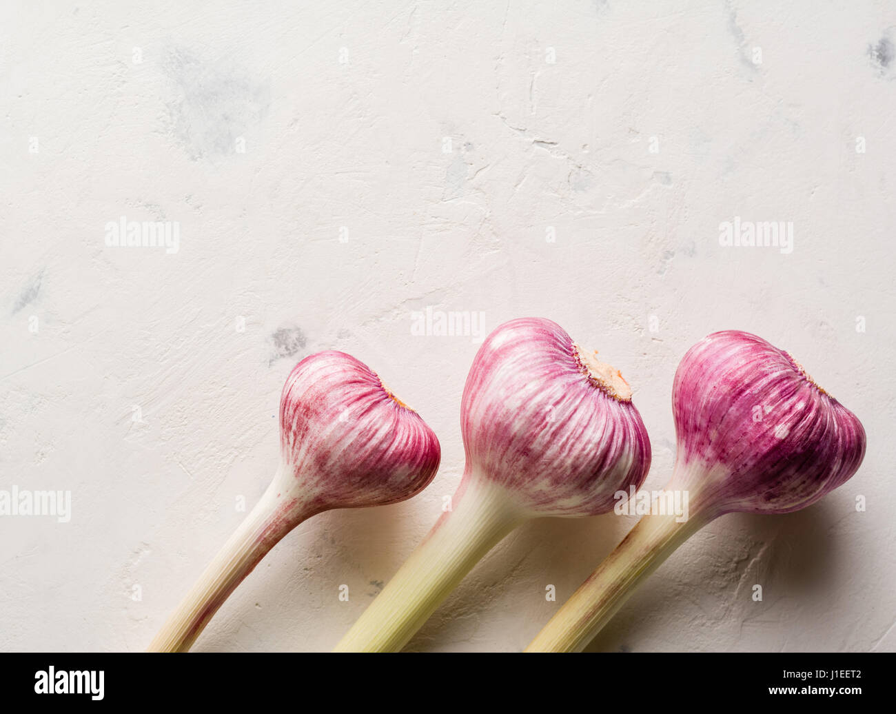 Garlic purple stalk on a white stone background. A lot of empty space ...