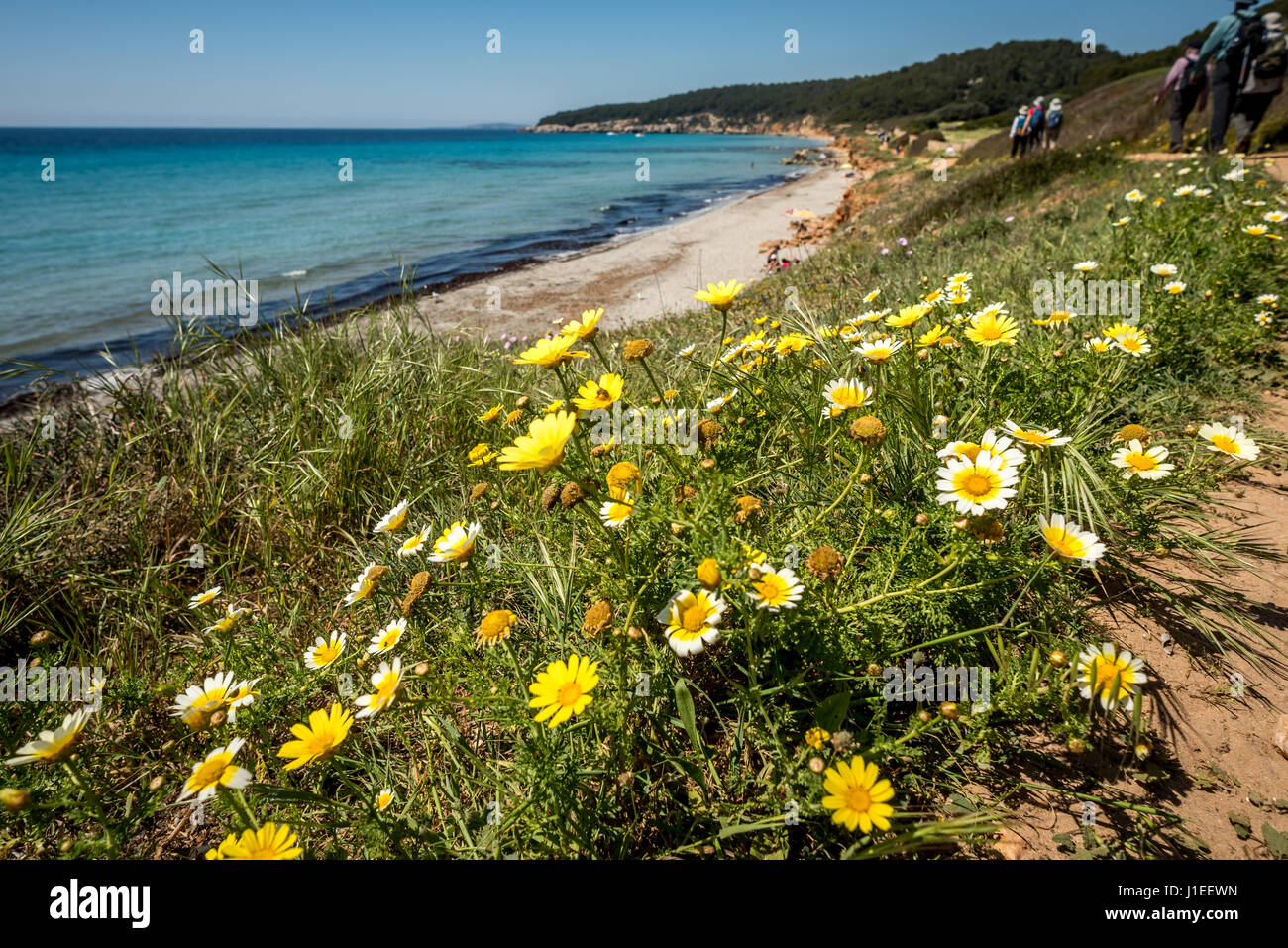 The beach at Santo Tomas in the south of Menorca Stock Photo - Alamy