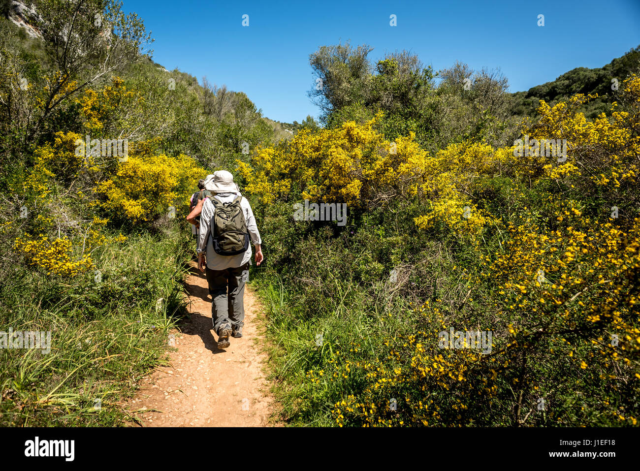 Walking group in the Bingaus Gorge in Menorca Stock Photo - Alamy