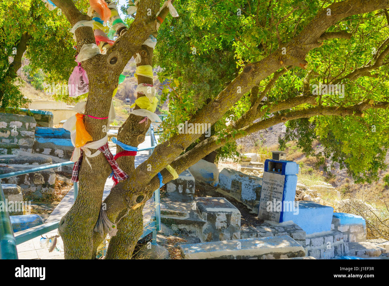 SAFED, ISRAEL - SEPTEMBER 18, 2015: A tree with traditional symbolic ...
