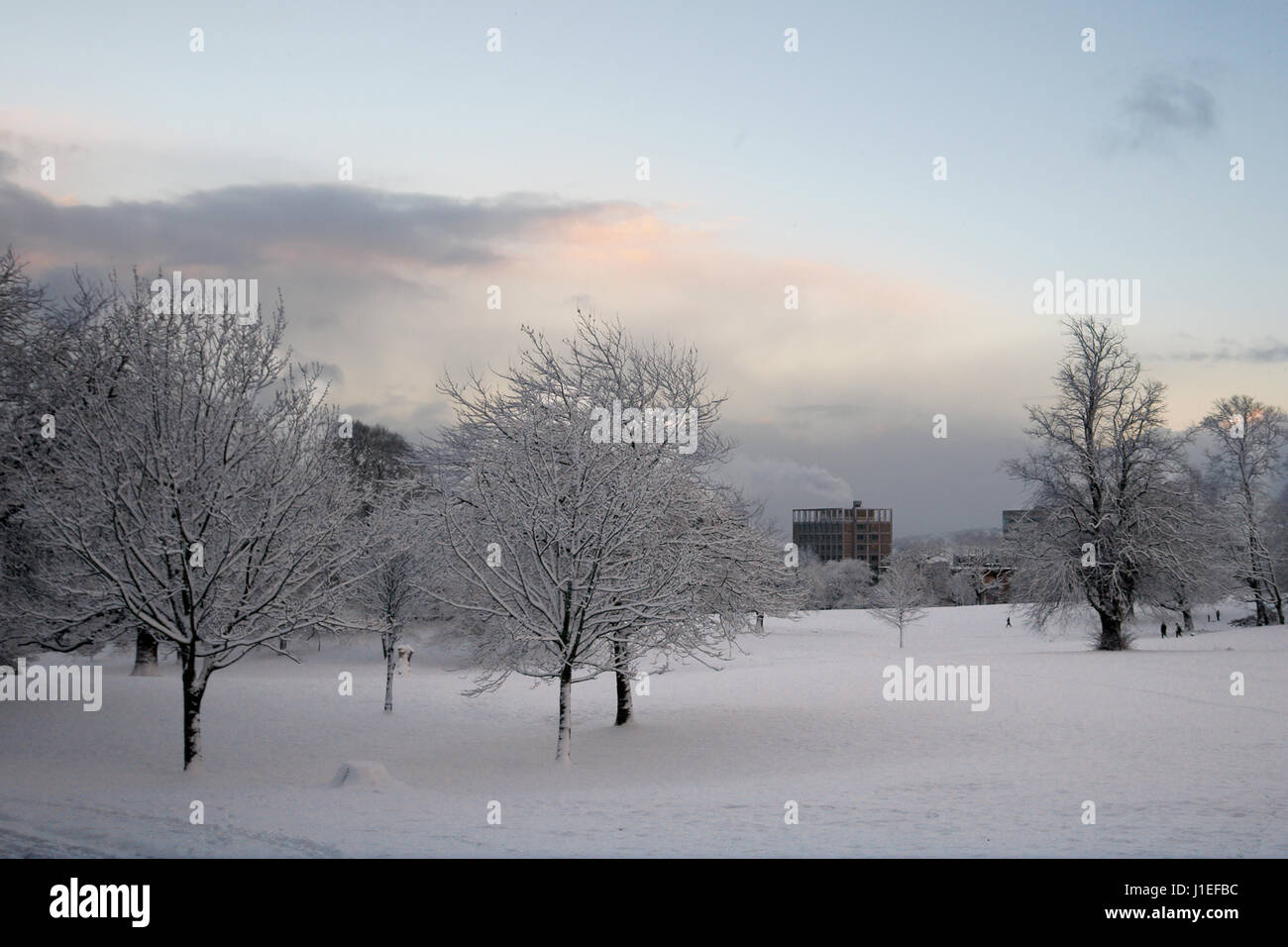 Singleton park swansea hi-res stock photography and images - Alamy