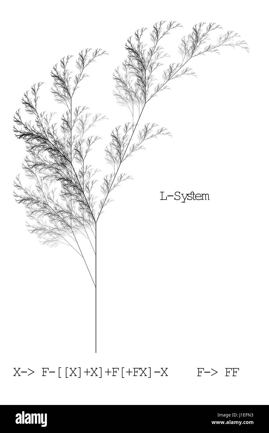 High resolution computer generated plant based on mathematical model L ...