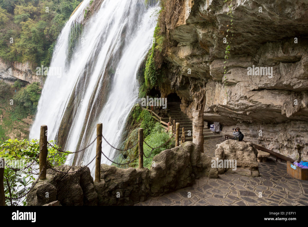 Guizhou Province, China. Photographer Photographing the Yellow Fruit ...
