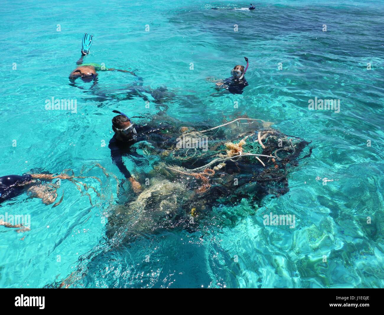 Pacific ocean trash divers hi-res stock photography and images - Alamy