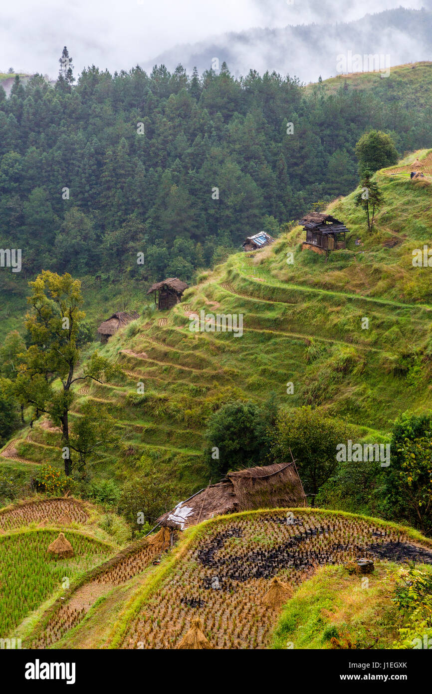 Terrace Farming In China The Terraced Fields On Mountains In NW China