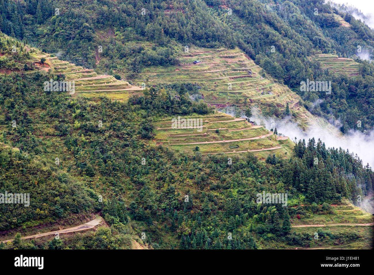 Guizhou, China. Terraced Hillside Farming in Guizhou Stock Photo - Alamy