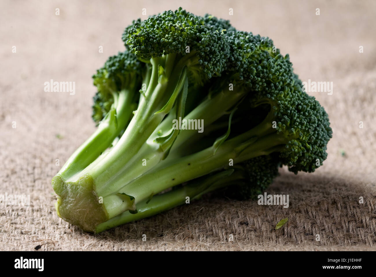A shot of a stem of broccoli Stock Photo - Alamy