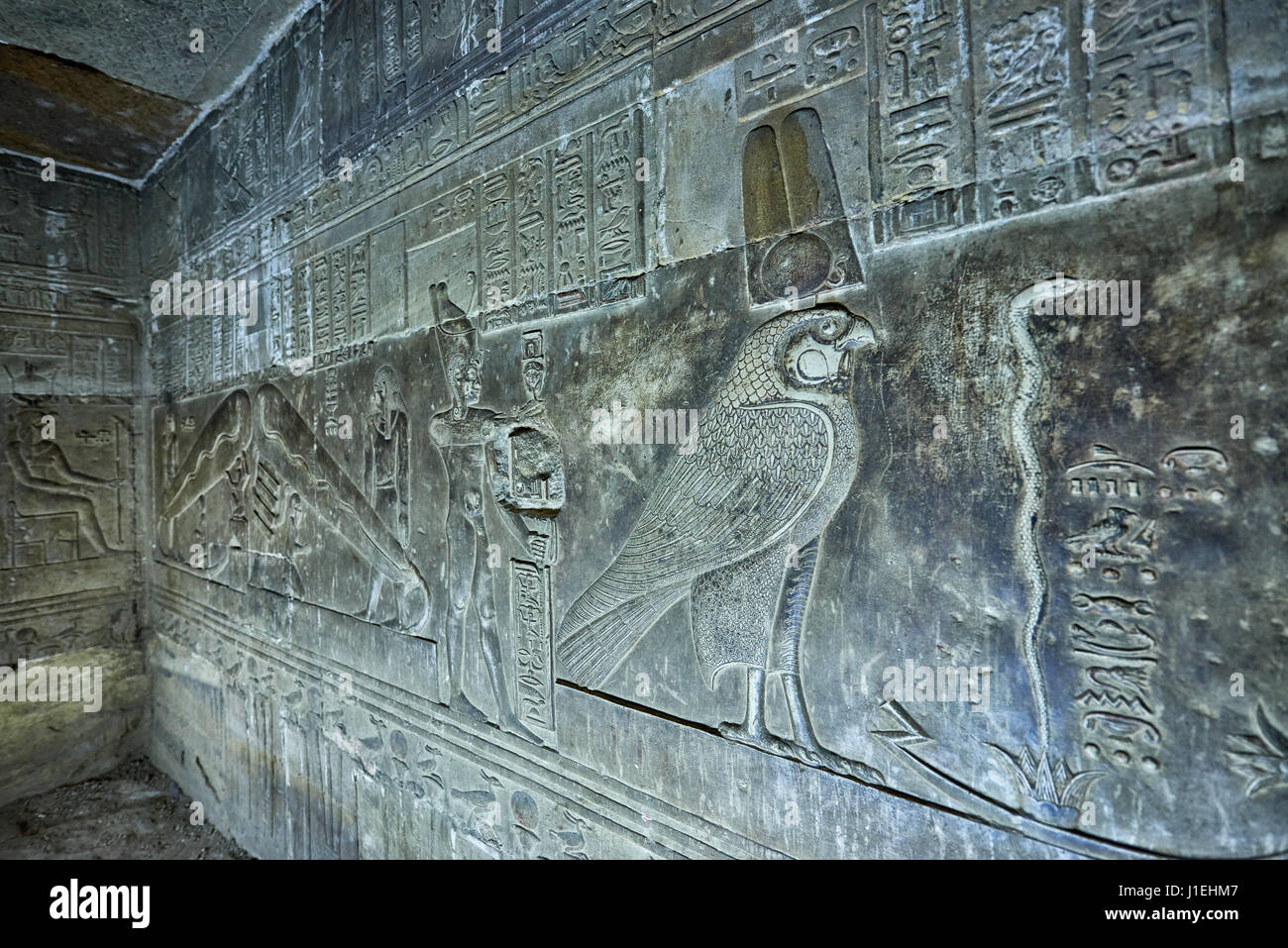 wonderful well-preserved reliefs inside Dendera temple complex Stock ...