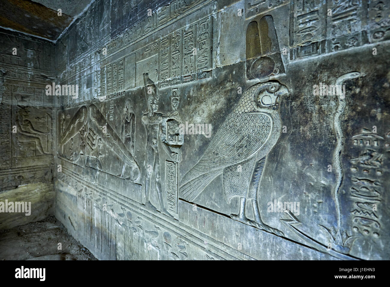 wonderful well-preserved reliefs inside Dendera temple complex Stock Photo - Alamy