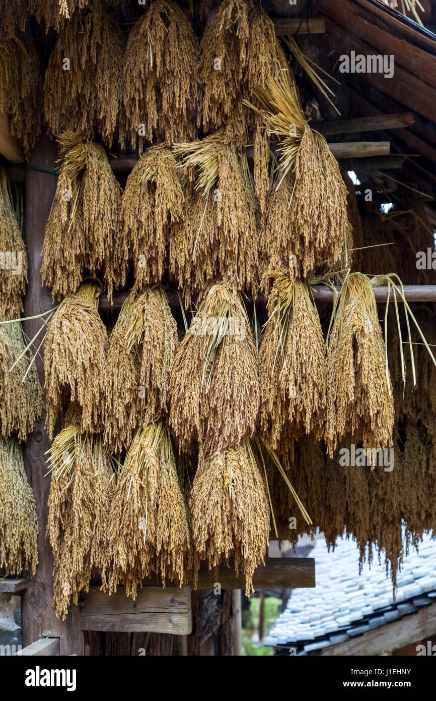 Huanggang dong village hi-res stock photography and images - Alamy