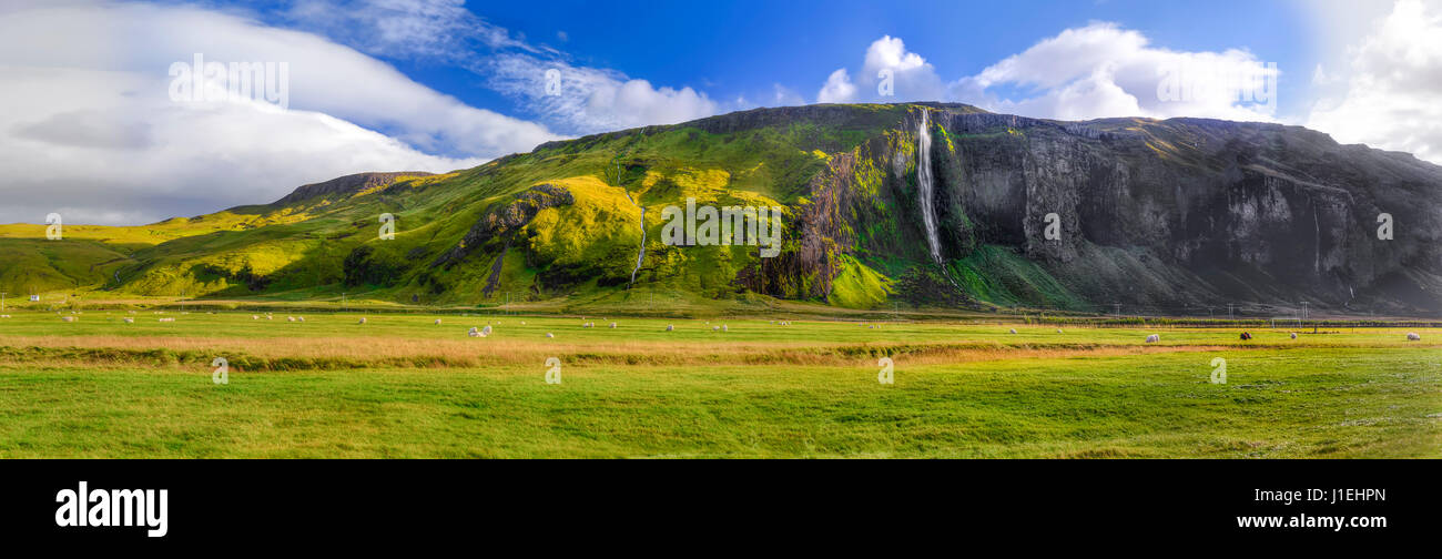 The rain lifted and the sun shone and the beautiful greens exploded ...