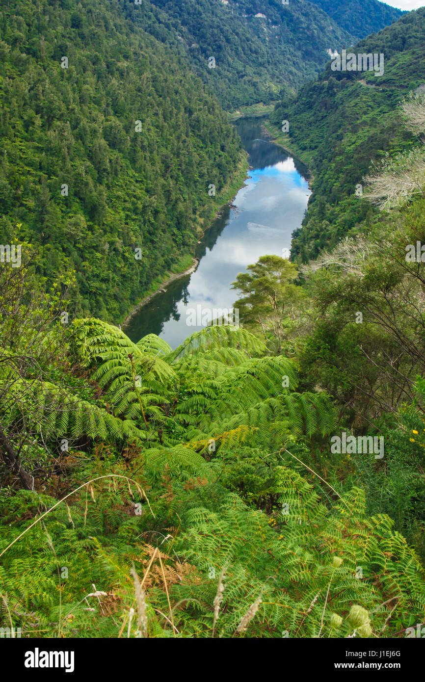 New zealand whanganui river hi-res stock photography and images - Alamy